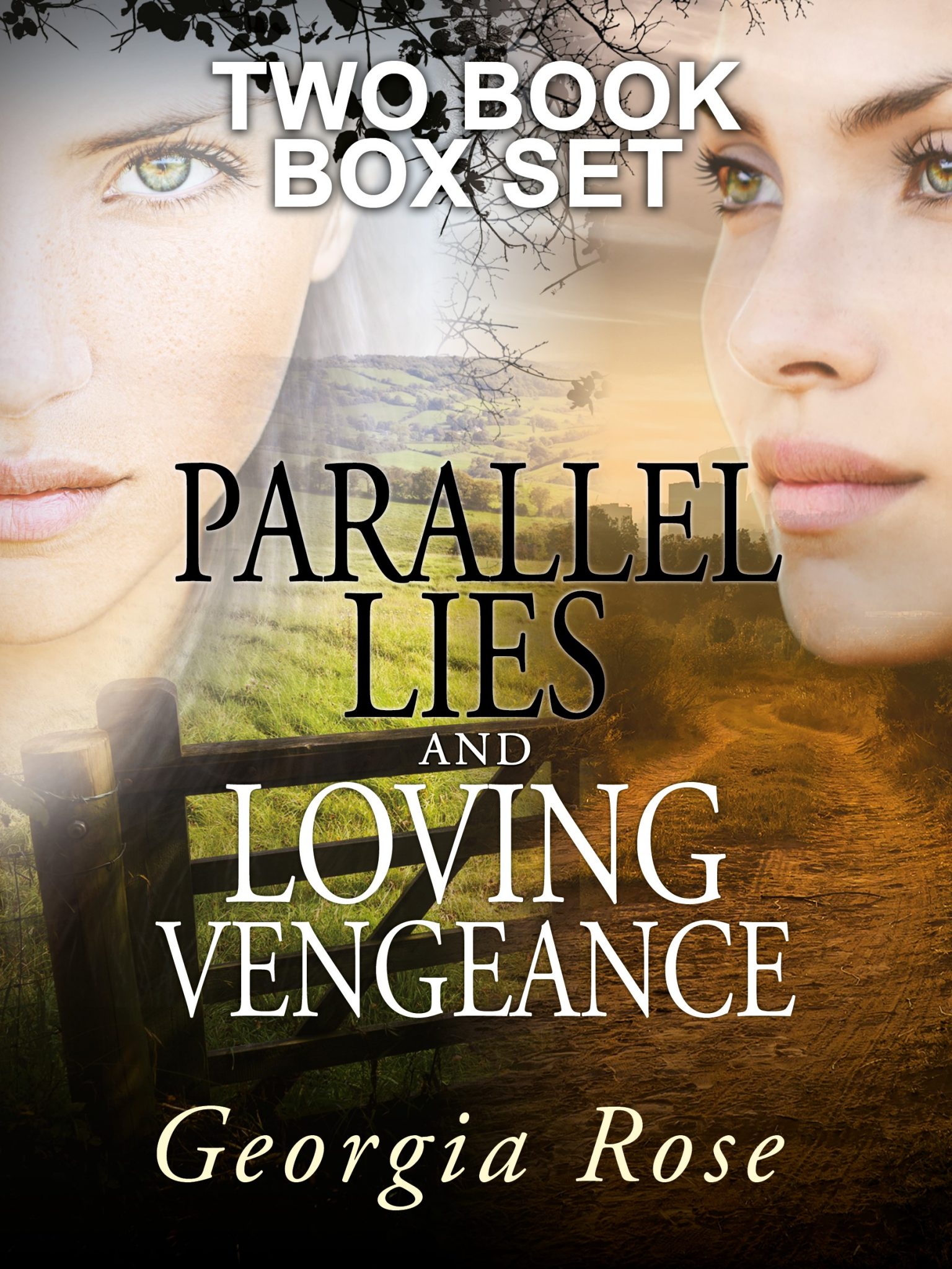 Parallel Lies and Loving Vengeance: The Ross Duology Two Book Box Set ...